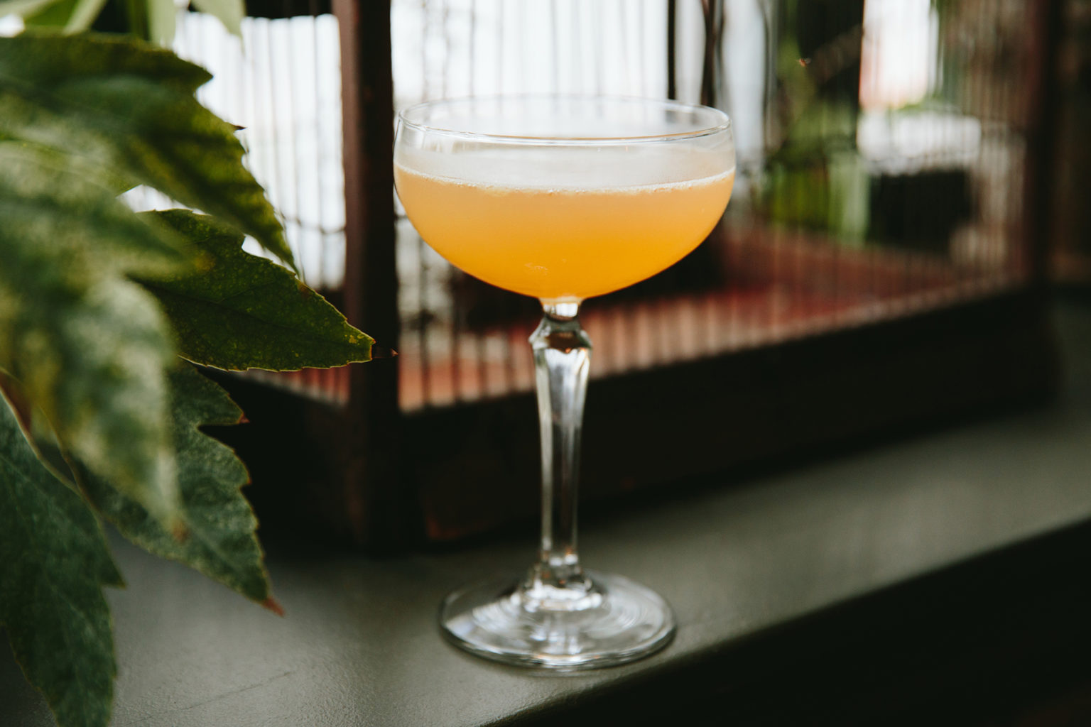 Lumberjack Rabbit: Straight Apple Brandy + Maple Syrup · Boston · The ...