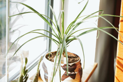 August First: Burlington Best Bakery and Cafe · Burlington, VT · The ...