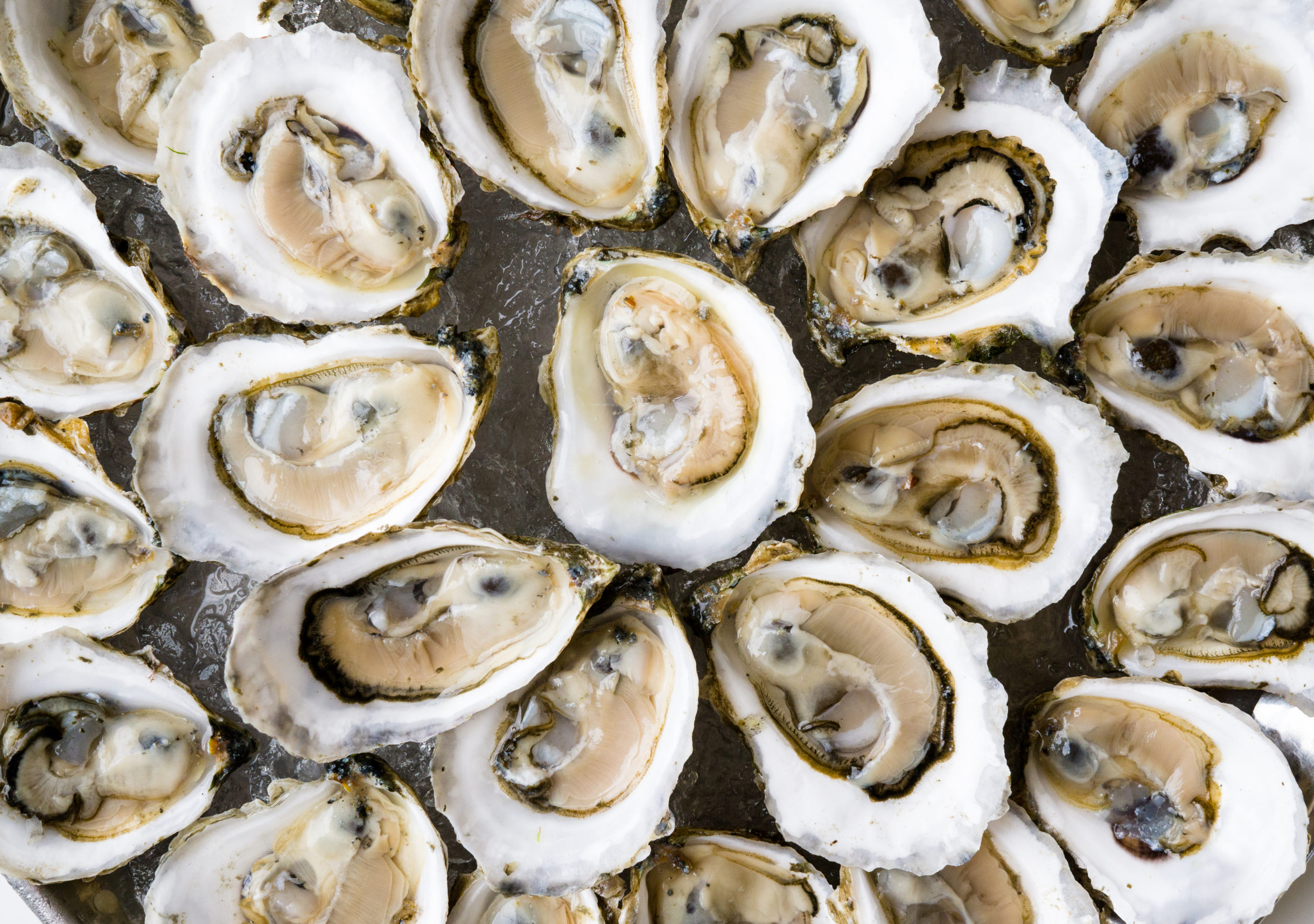 How to Shuck an Oyster with Row 34 · Boston · The Food Lens