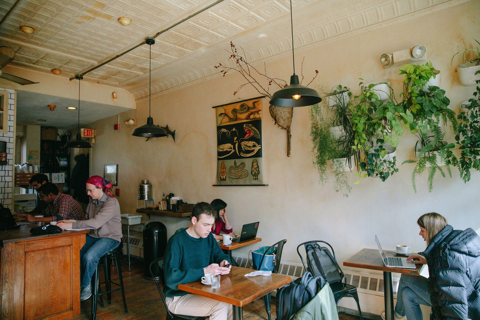 The Best Coffee Shops in Boston · The Food Lens