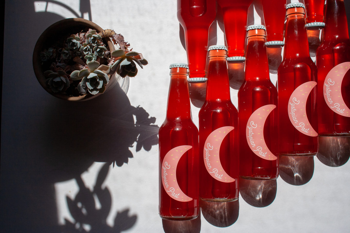 The 8 Best Breweries in Rhode Island · The Food Lens