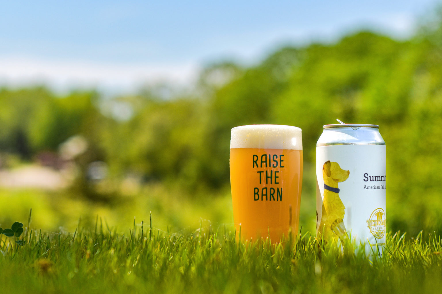 The 8 Best Breweries in Rhode Island · The Food Lens