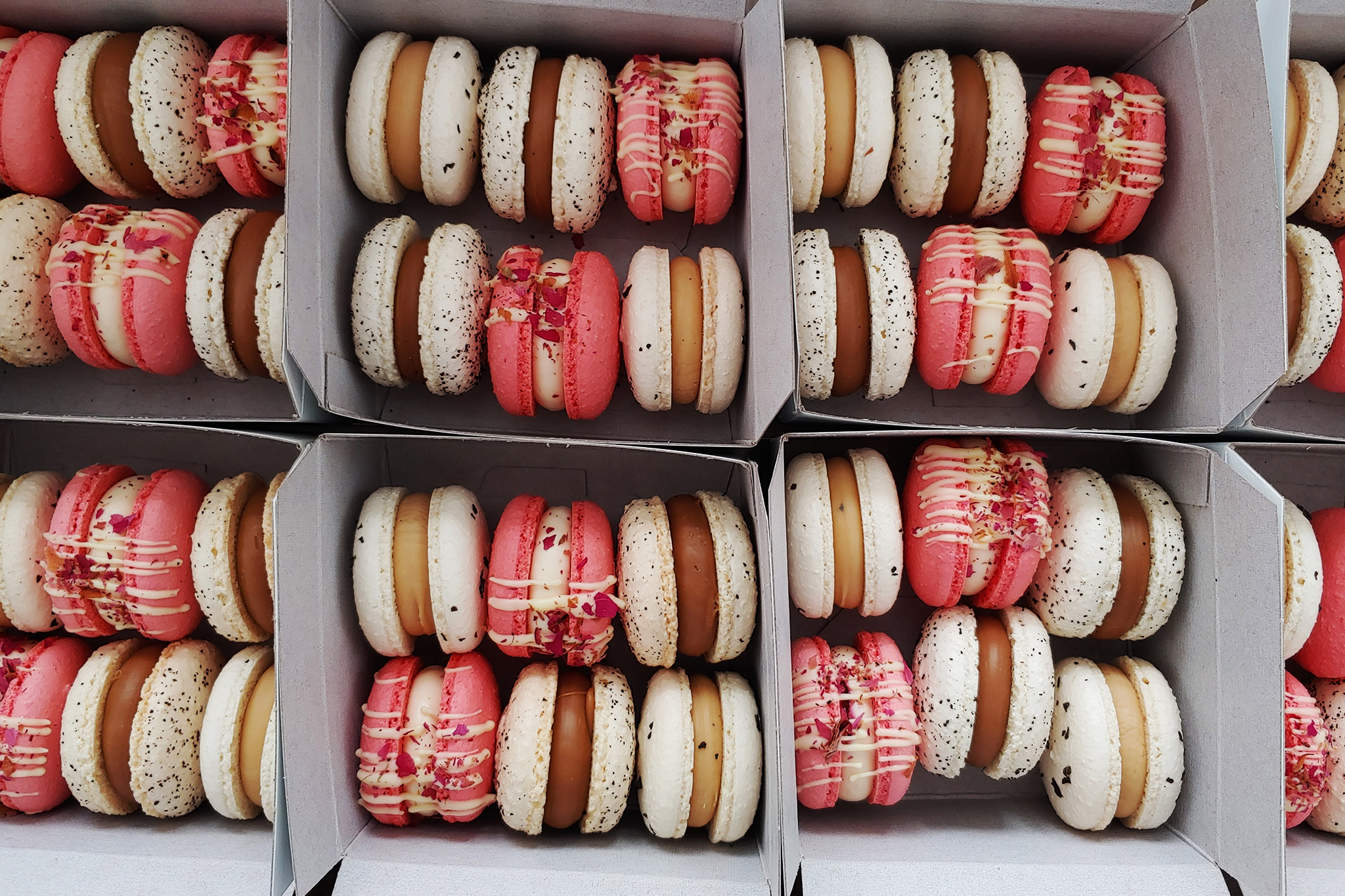 Where to Find the Best Macarons in Boston · The Food Lens
